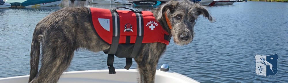 IWCC Policies & Procedures | IWCC • CCLI