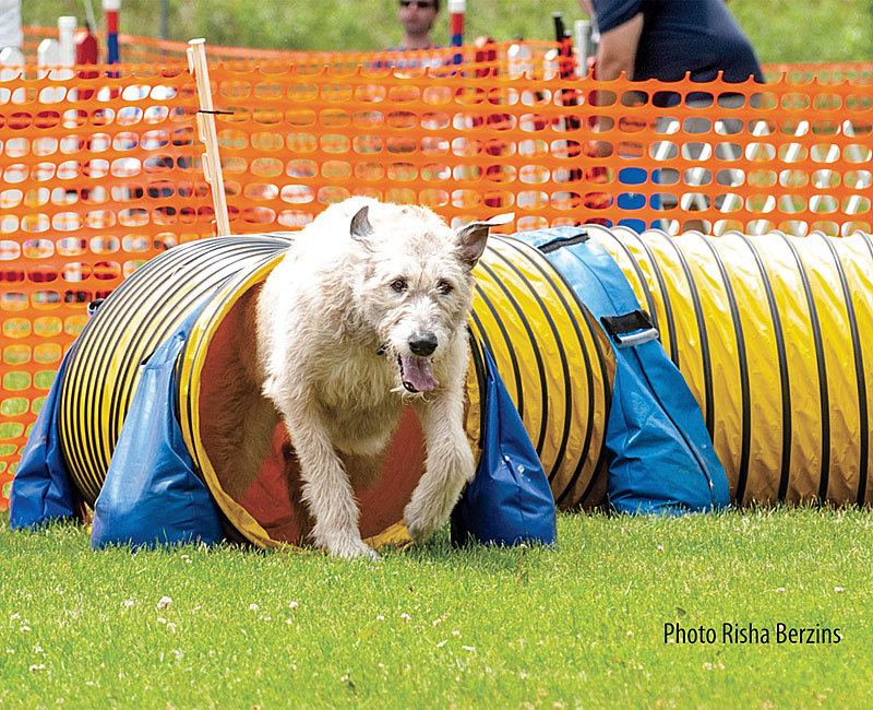 IWCC Membership | IWCC • CCLI